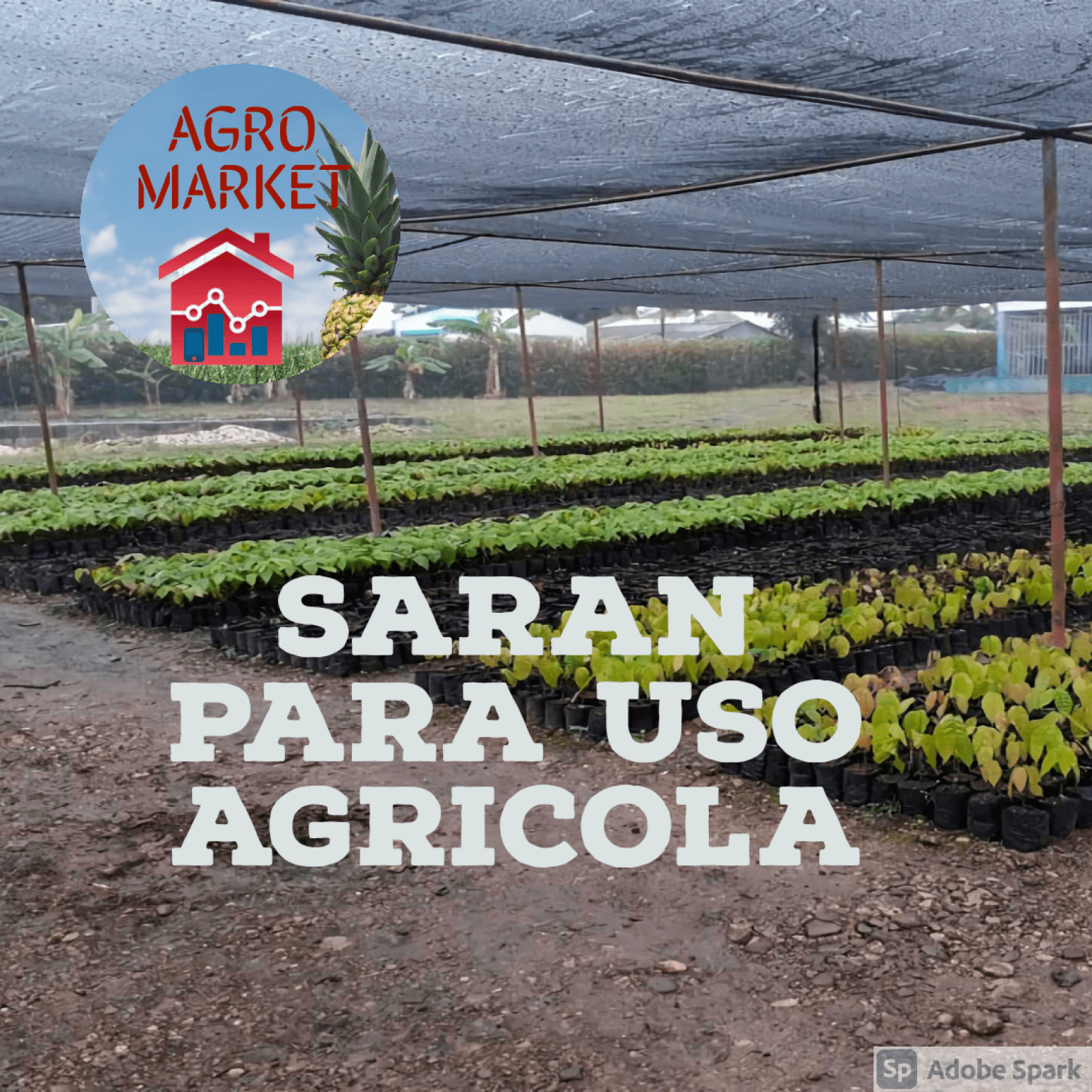 Saran sombra , tipo raschel 80% sombra, negro, verde , azul – Mimarket